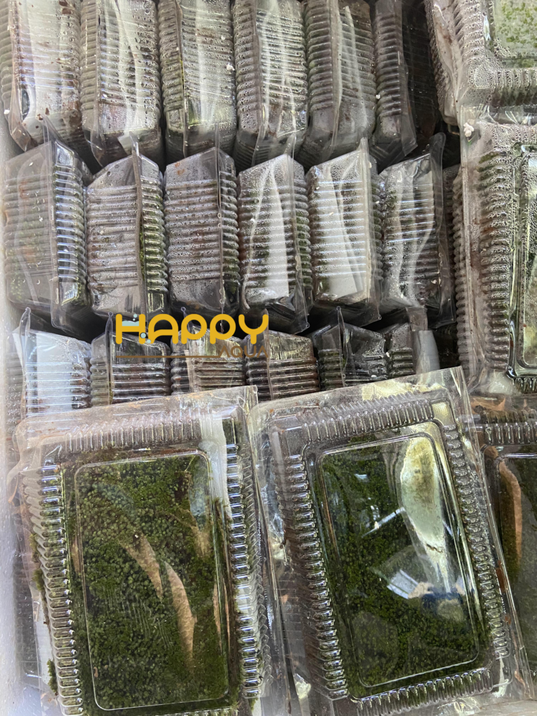 Rêu Mini Fiss (lá nước) - Happy Aqua